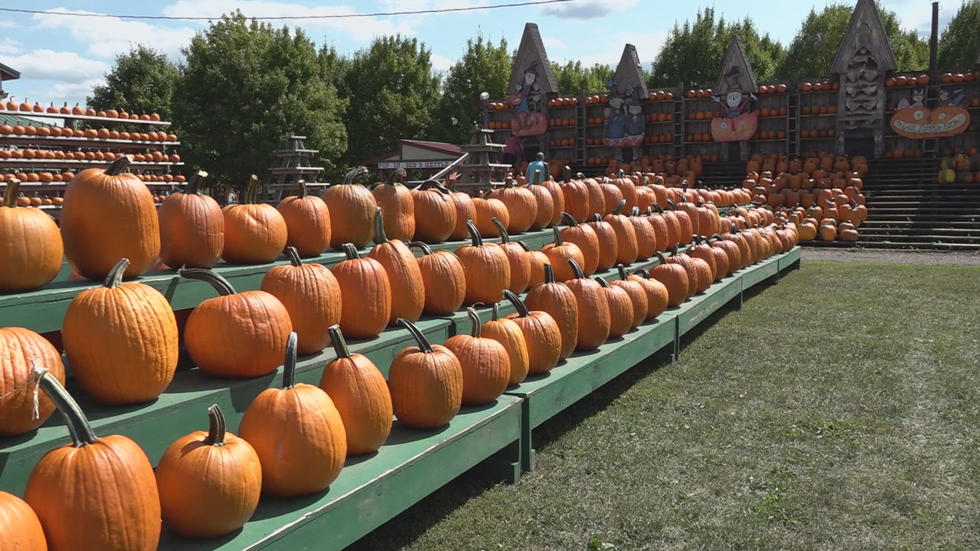 Great Pumpkin Farm's Fall Festival kicks off Saturday | wgrz.com