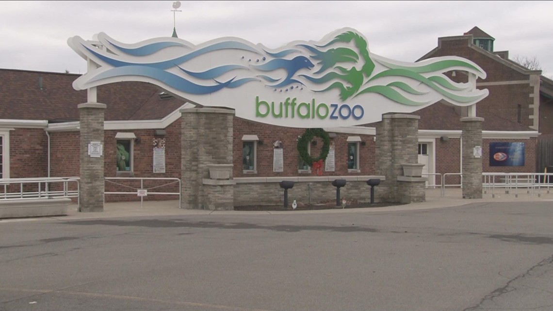 Buffalo Zoo closing for a day to give staff time to rest following ...