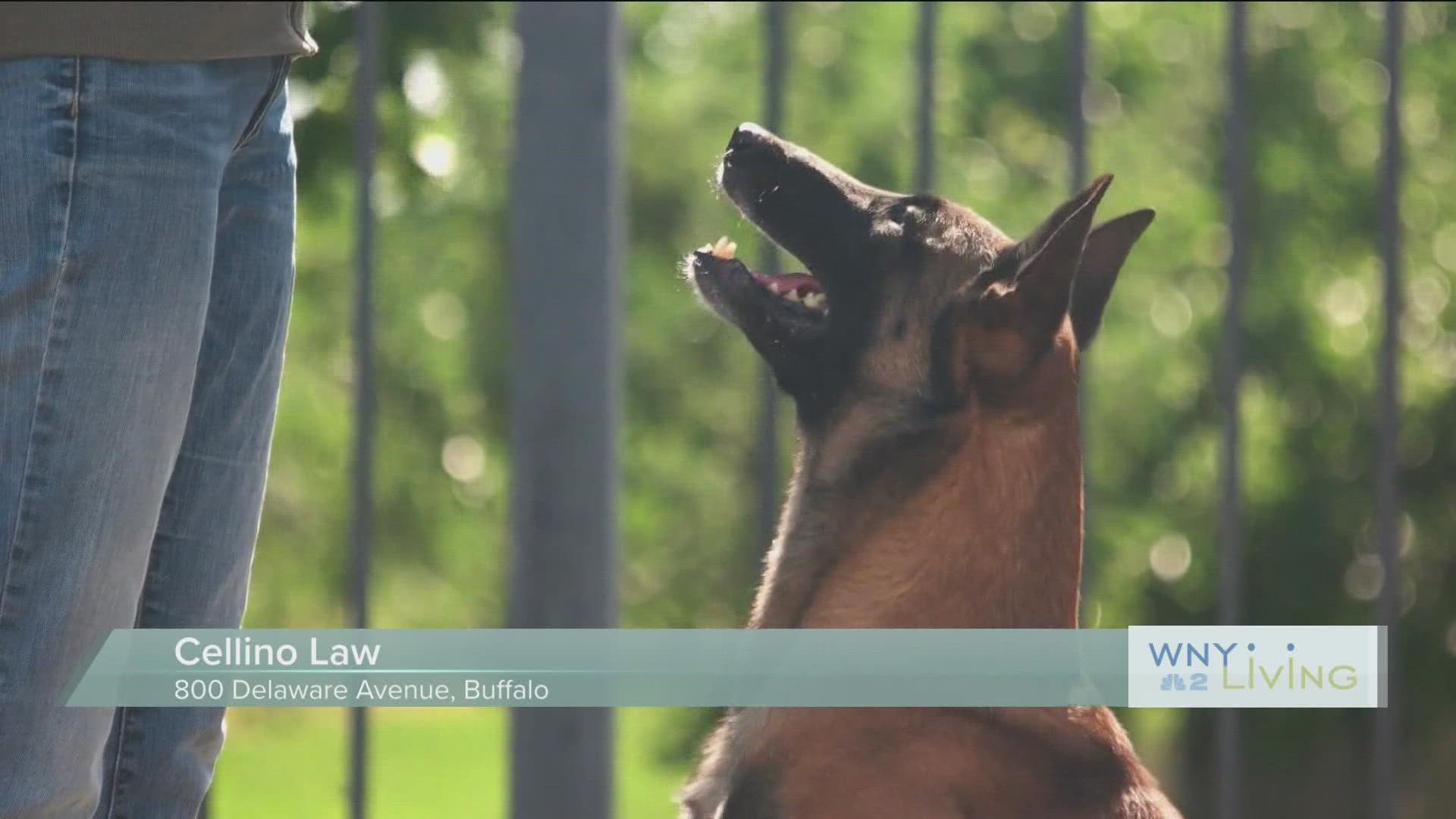 October 8 - Cellino Law | wgrz.com