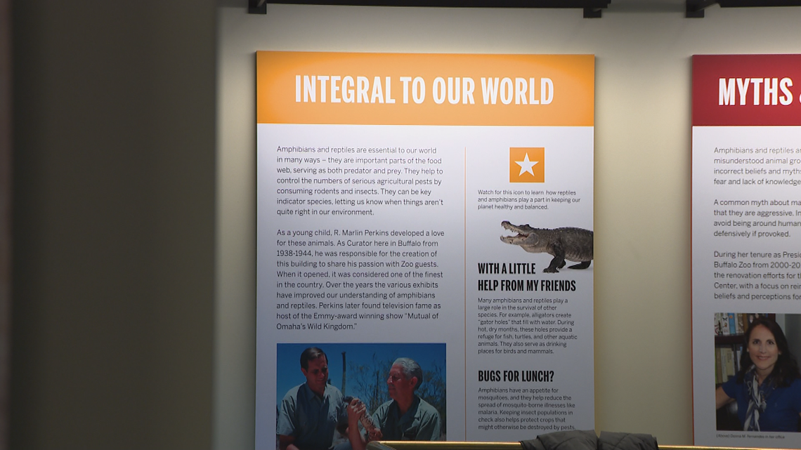 New amphibian and reptile exhibit to open at Buffalo Zoo this week ...