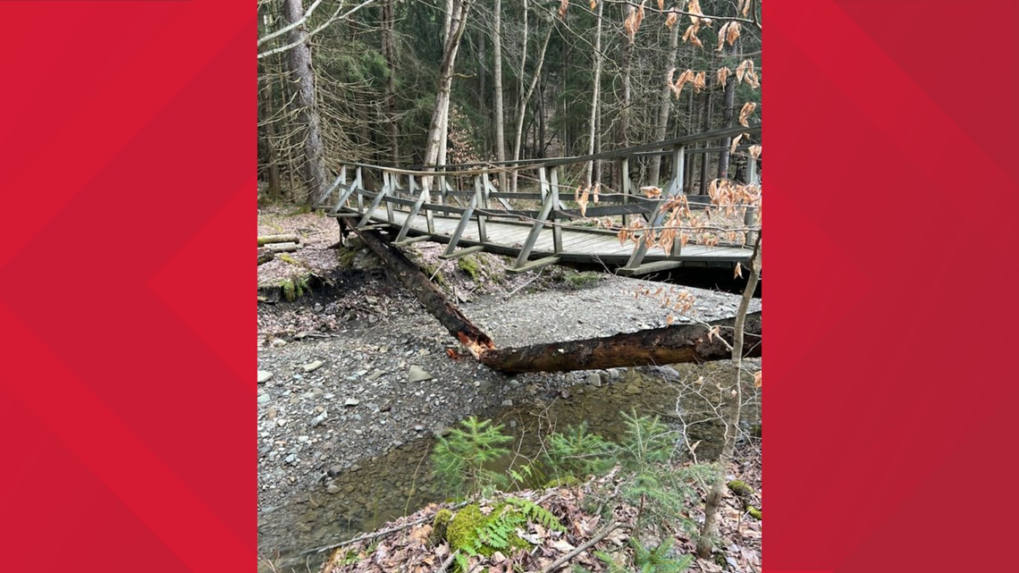 Erie County reports damaged bridge in county forest | wgrz.com