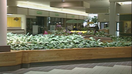 Plans to redevelop former Seneca Mall site | wgrz.com