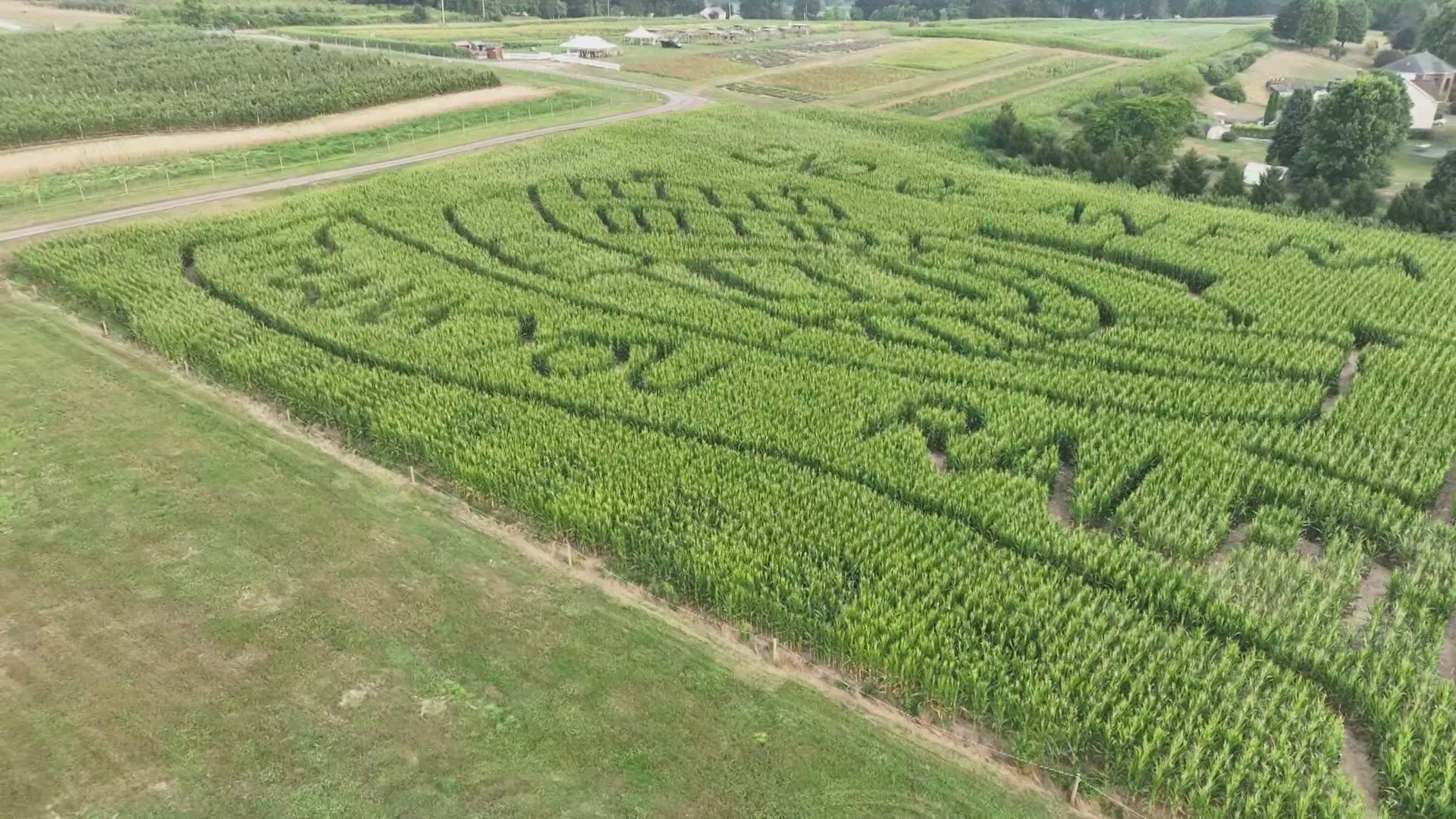 Fans relive Bills history in unique farm corn maze | wgrz.com