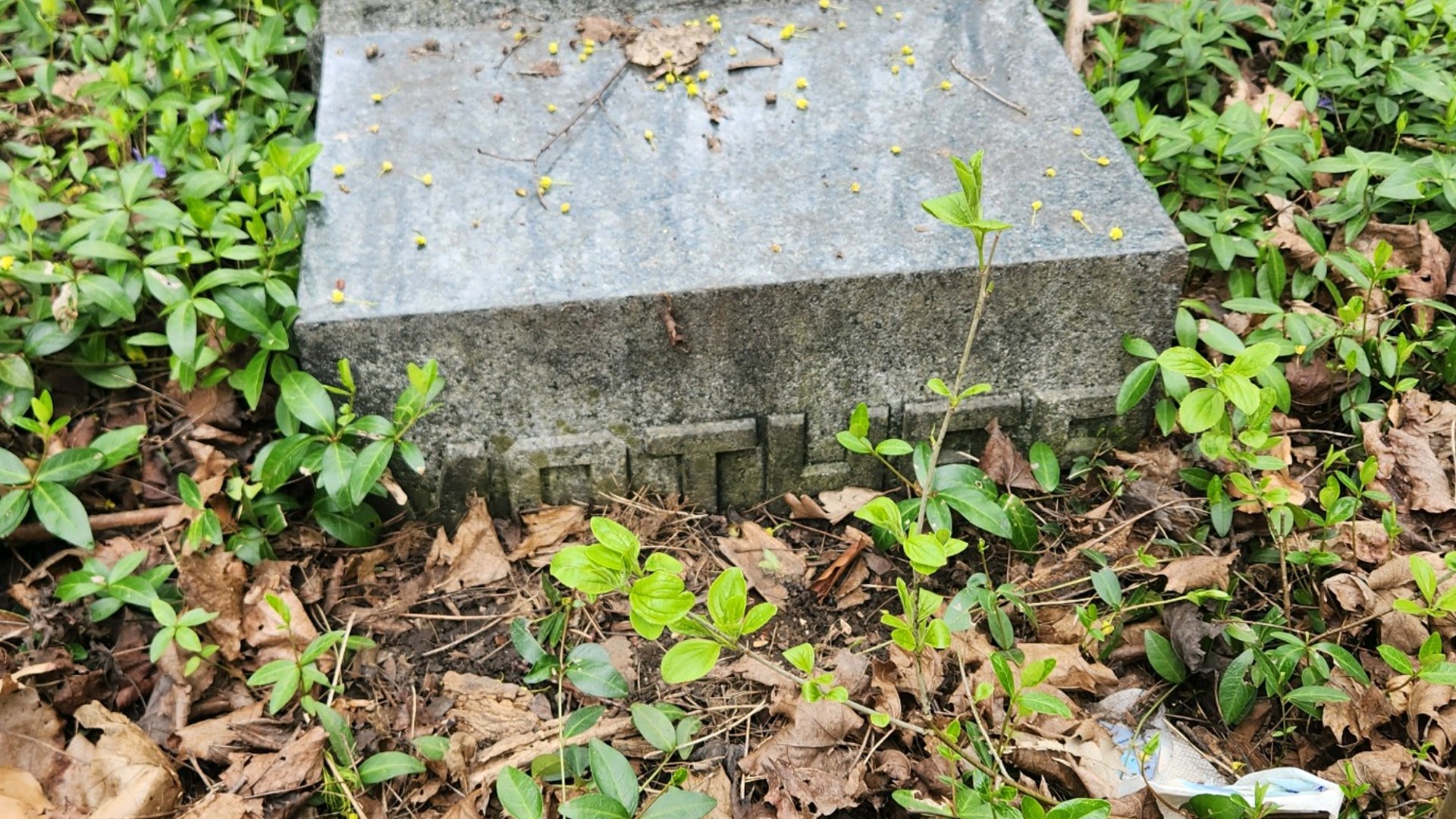 Unknown Stories of Western New York | wgrz.com