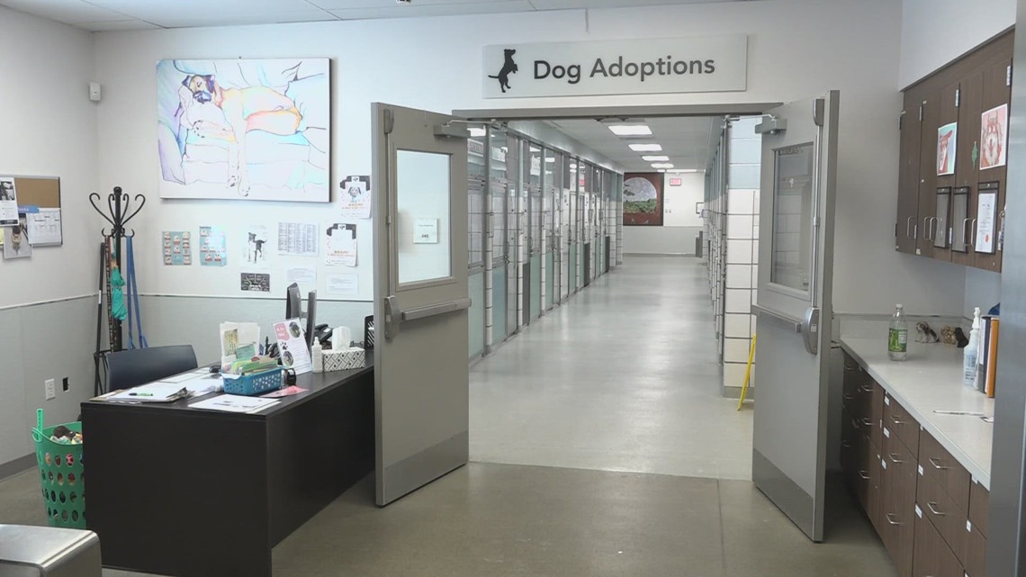 Erie County SPCA limiting dog admission ahead of renovations | wgrz.com