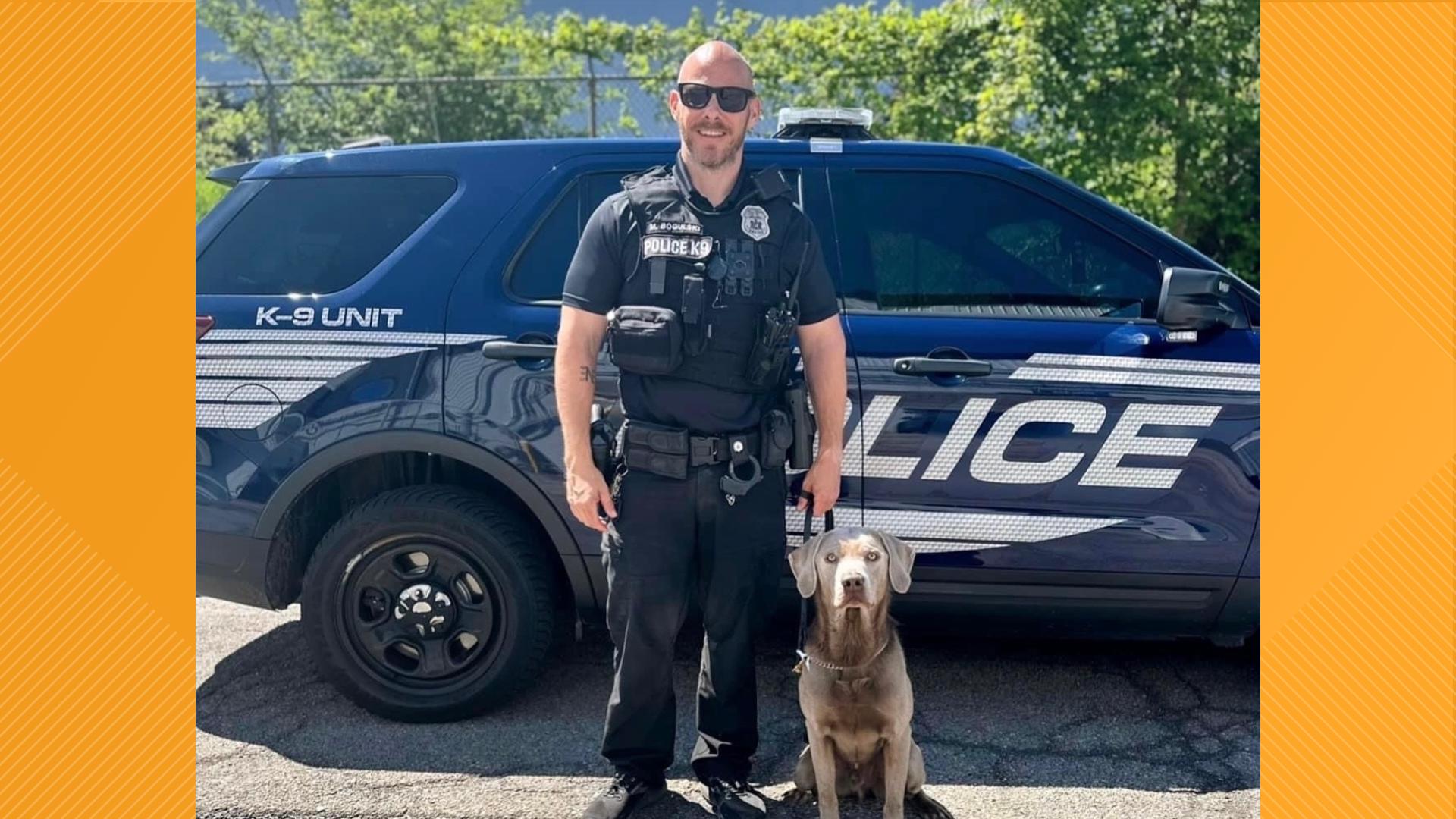 Ticket to the Super Bowl is no problem for NFTA K-9 team | wgrz.com