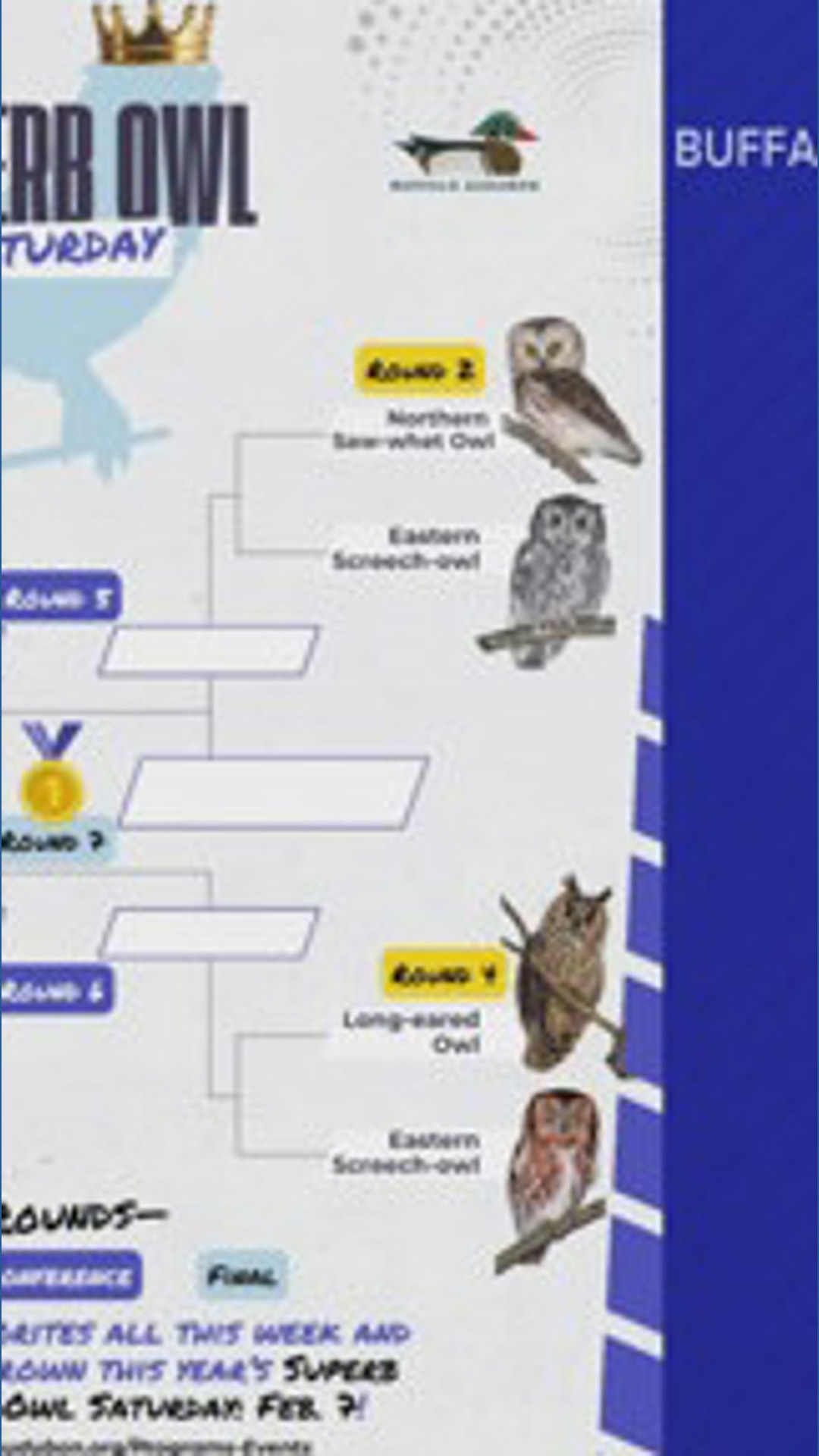 "Superb owl" competition ahead of owl prowl | wgrz.com