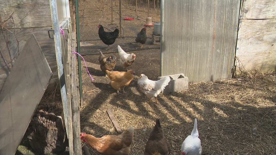 Massachusetts Avenue Project helps people lead healthier lives | wgrz.com