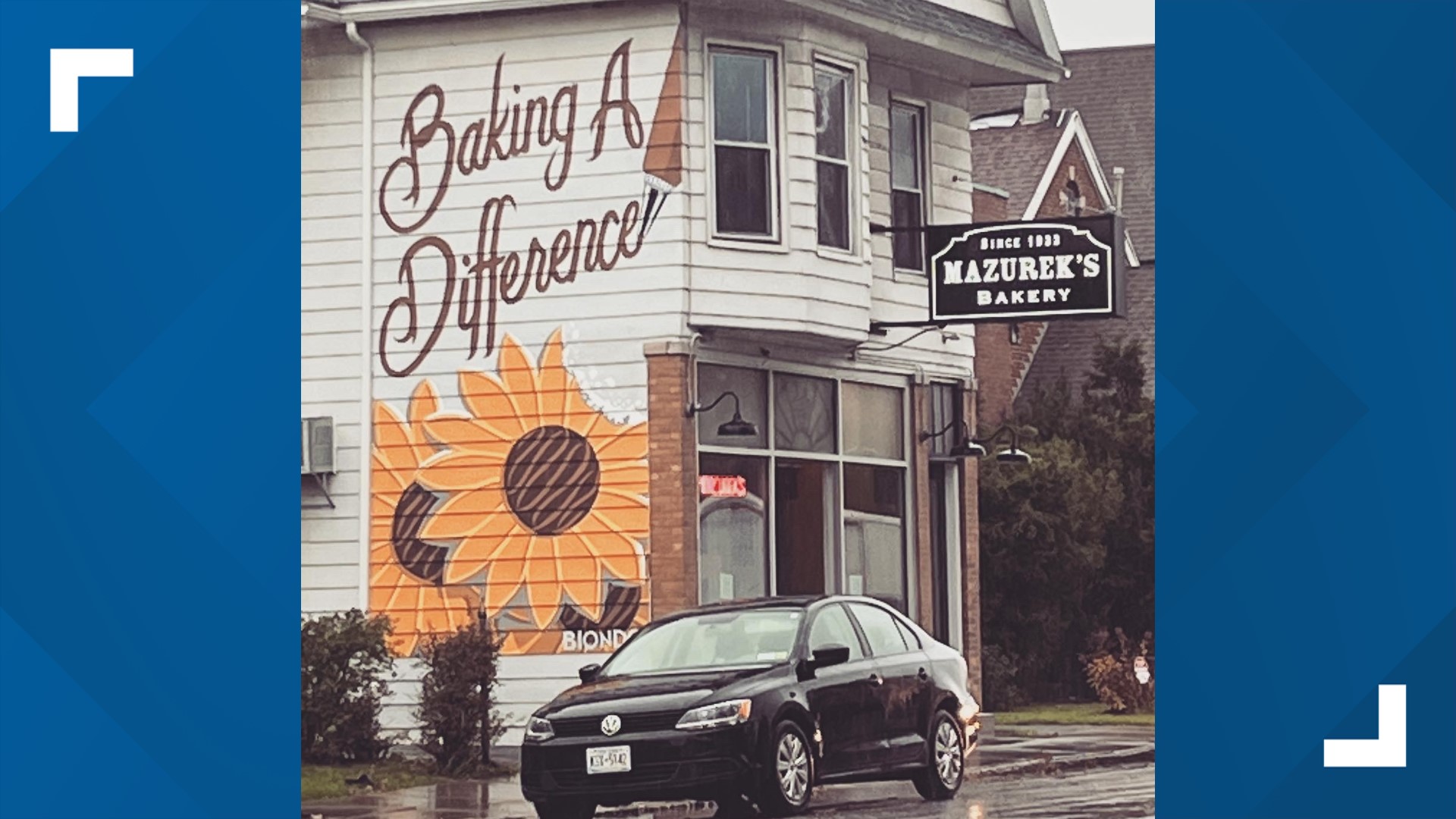 WNY Land Conservancy unveils mural painted by art students from the Old ...