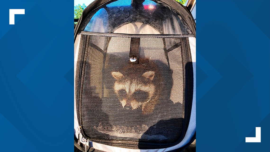 Changes to NFTA fare payment system coming this year | wgrz.com