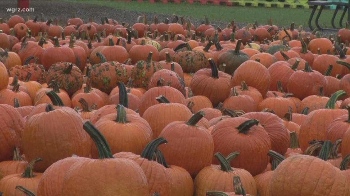 Pumpkin drop-off collects 28.5 tons | wgrz.com