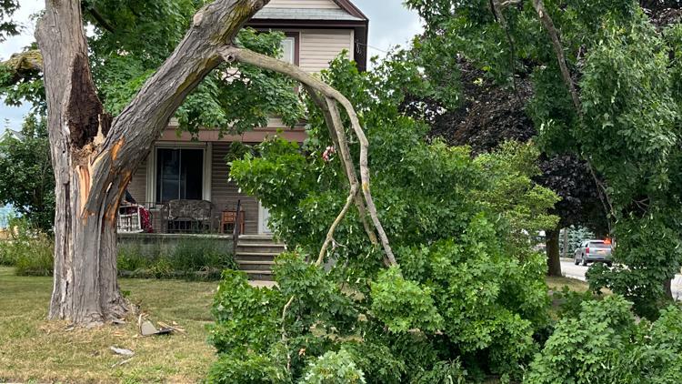 Upstate Niagara Cooperative rebrands to UNC Dairy | wgrz.com