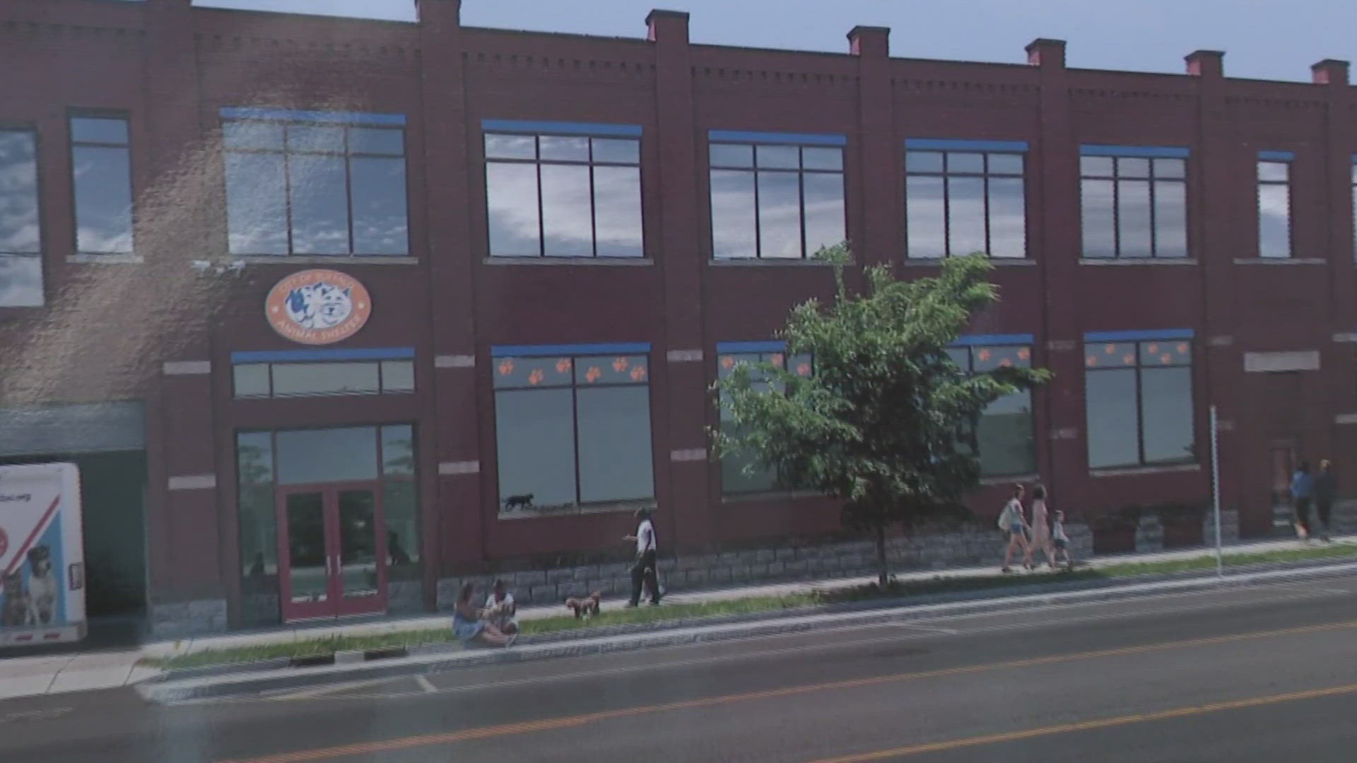 Buffalo names Jennifer Butera as animal shelter director | wgrz.com