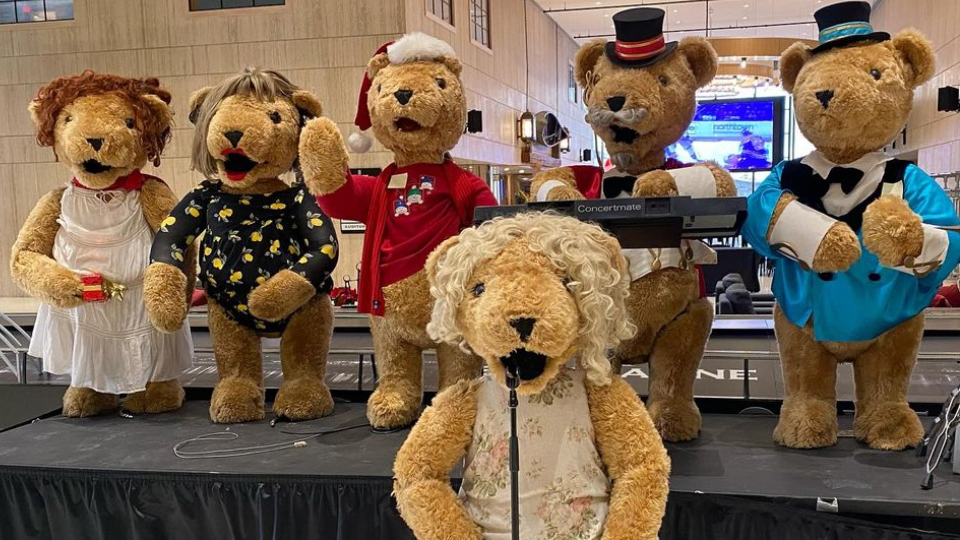 The band is back together, Boulevard Bears that is. | wgrz.com