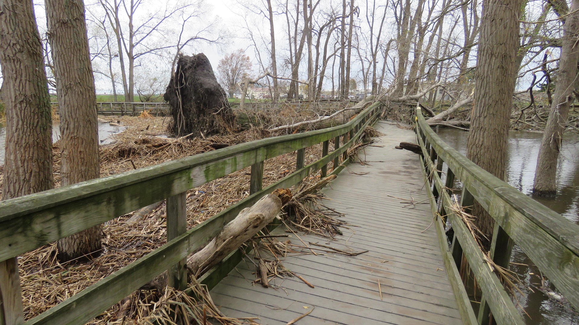 2 The Outdoors: A look at the future of Times Beach | wgrz.com