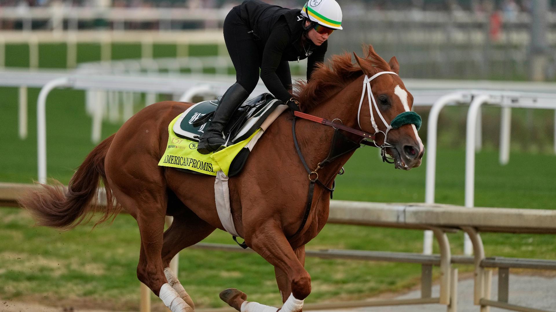List of Kentucky Derby horses 2025 | Post positions, favorites and ...