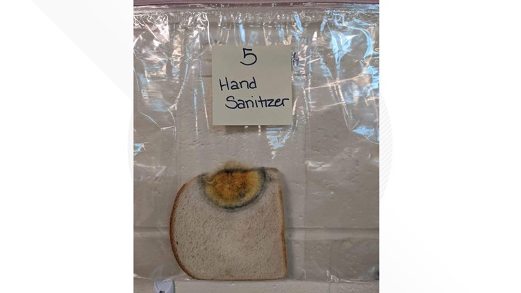Teacher's moldy bread experiment shows importance of washing hands ...