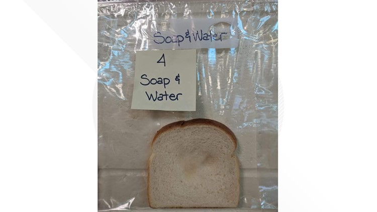 Teacher's moldy bread experiment shows importance of washing hands ...